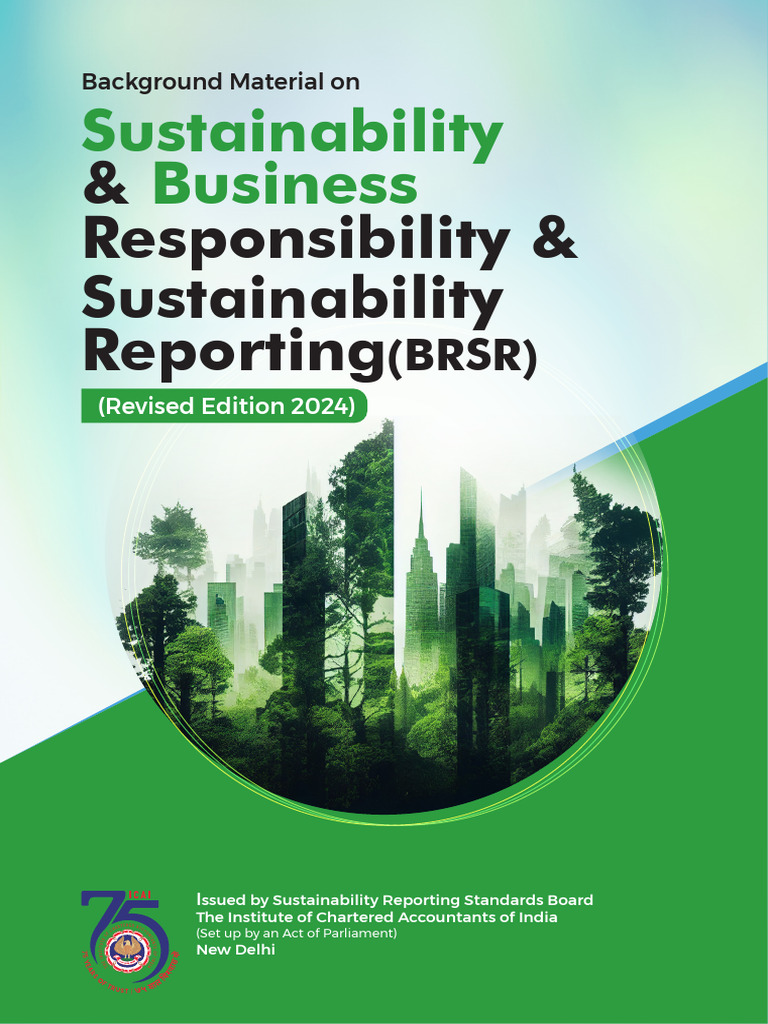 Background Material 2024-Sustainability and BRSR | PDF | Sustainability ...