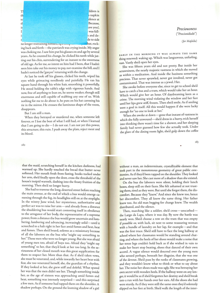 Preciousness | PDF