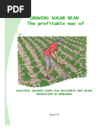 Zimbabwe Crop Planting Calendar | PDF | Cooking, Food & Wine | Science ...