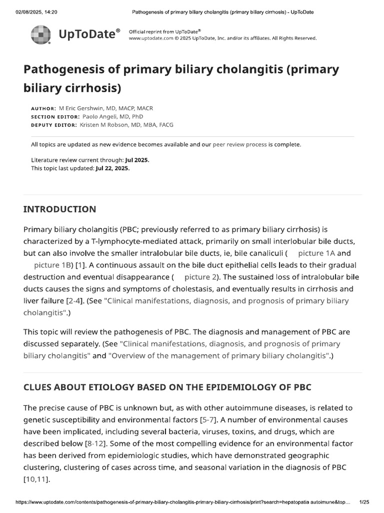 Pathogenesis of Primary Biliary Cholangitis (Primary Biliary Cirrhosis ...