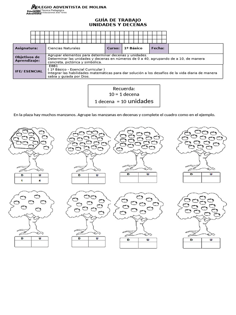 1ro Guia Unidades y Decenas | PDF