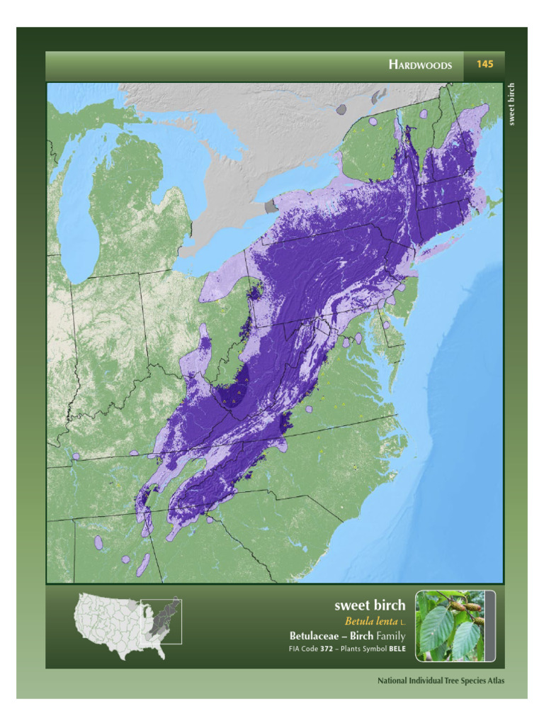 Sweet Birch Distribution Map | PDF