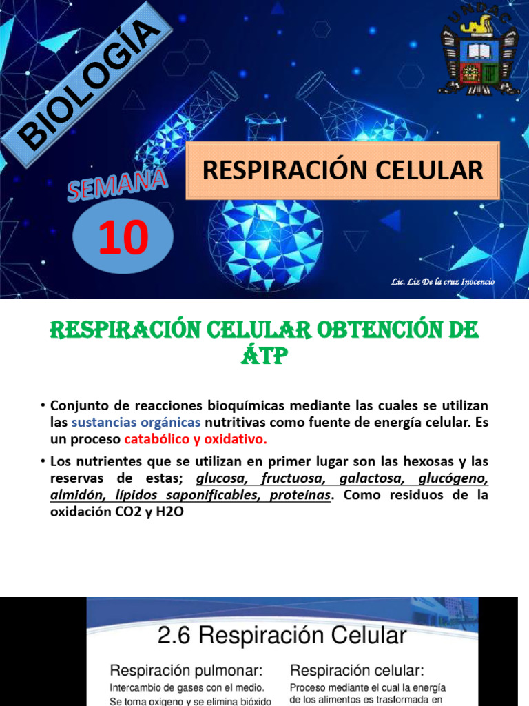 Semana 10 Biologia | PDF | Respiración celular | Glucólisis