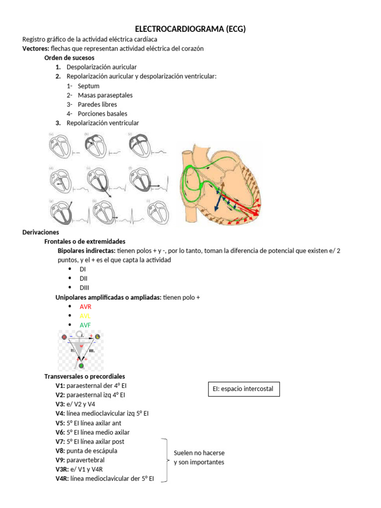 Guía Completa del Electrocardiograma (ECG) | PDF | Medicina Interna ...