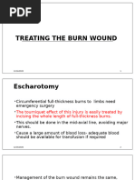Flamazine® Cream for Burn Care | PDF | Wound | Dermatitis