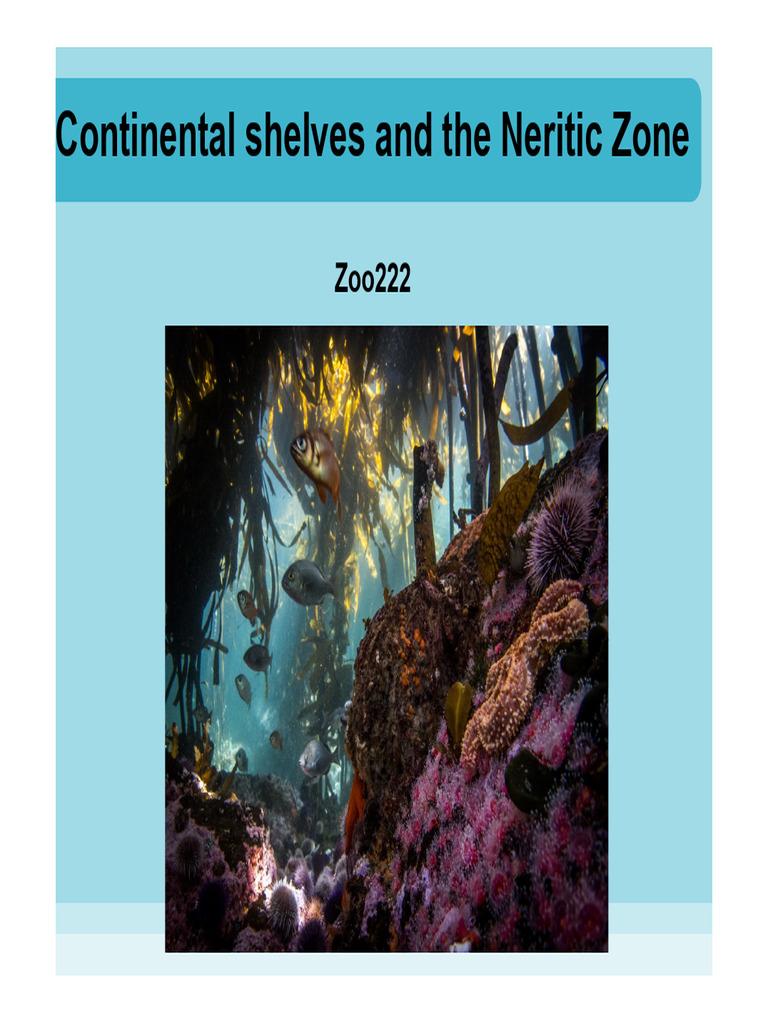 Overview of the Neritic Zone Ecosystem | PDF | Continental Shelf | Plankton