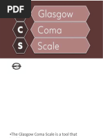 Neurological Observation Chart - GCS - Pupil Size | PDF