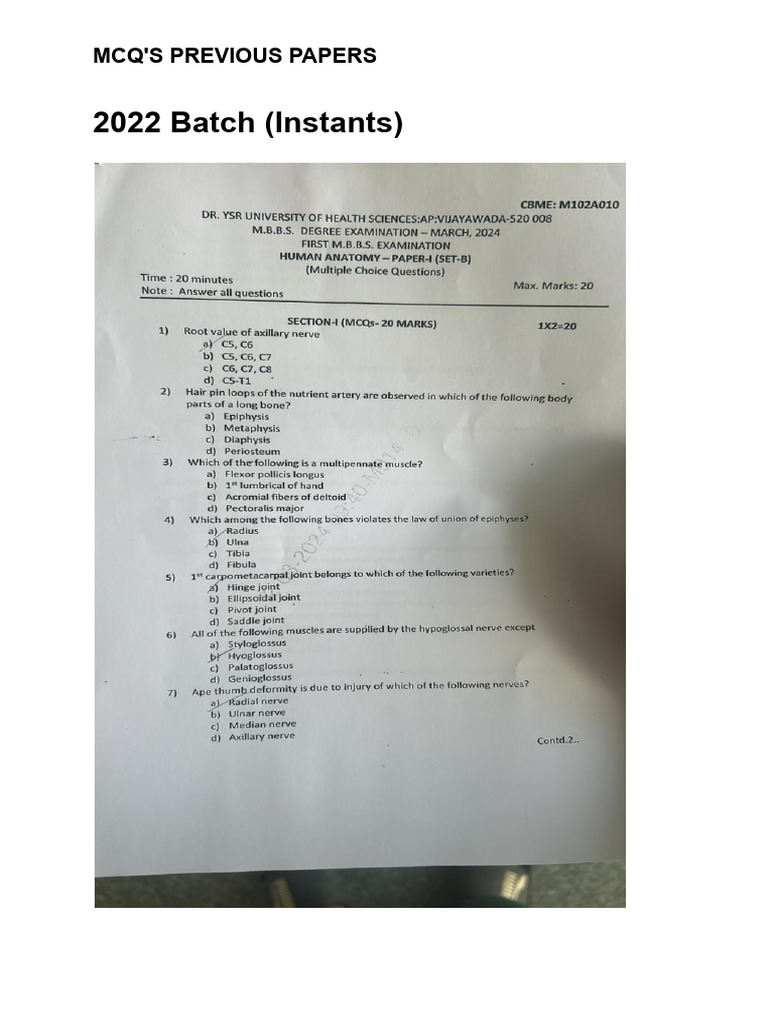 Anatomy Paper1 | PDF