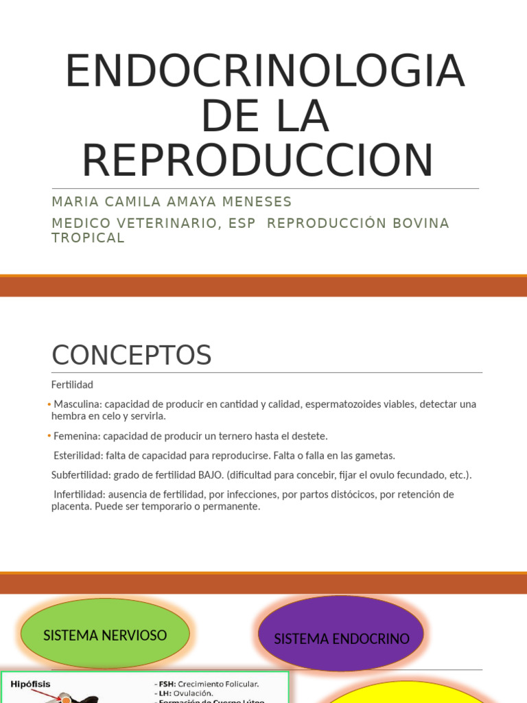 Endocrinologia de La Reproduccion (Autoguardado) | PDF | Gonadotropina | Hormona luteinizante