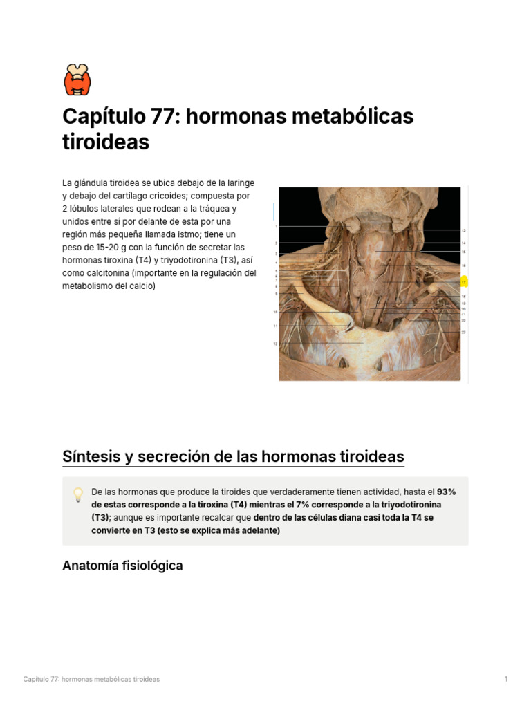 Capítulo 77 Hormonas Metabólicas Tiroideas | PDF | Tiroides | Hormona estimulante de la tiroides