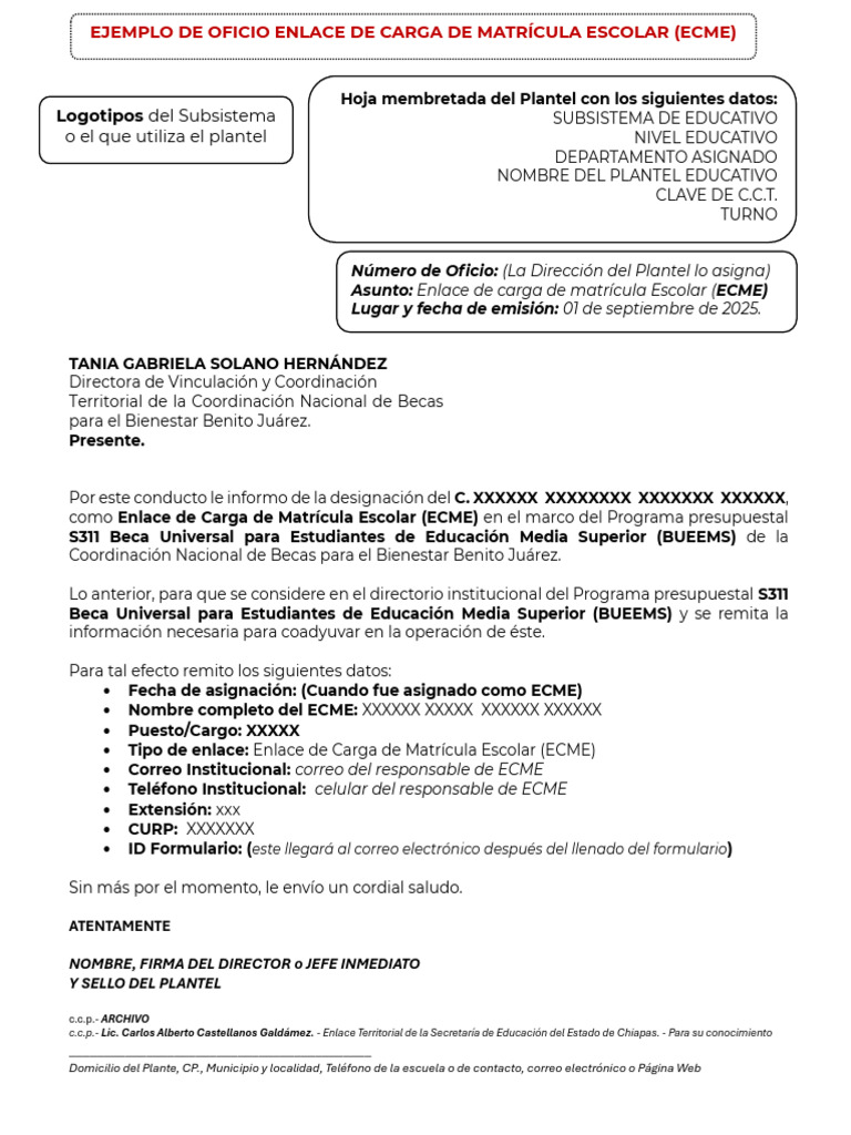 Ejemplo - Formato ECME | PDF