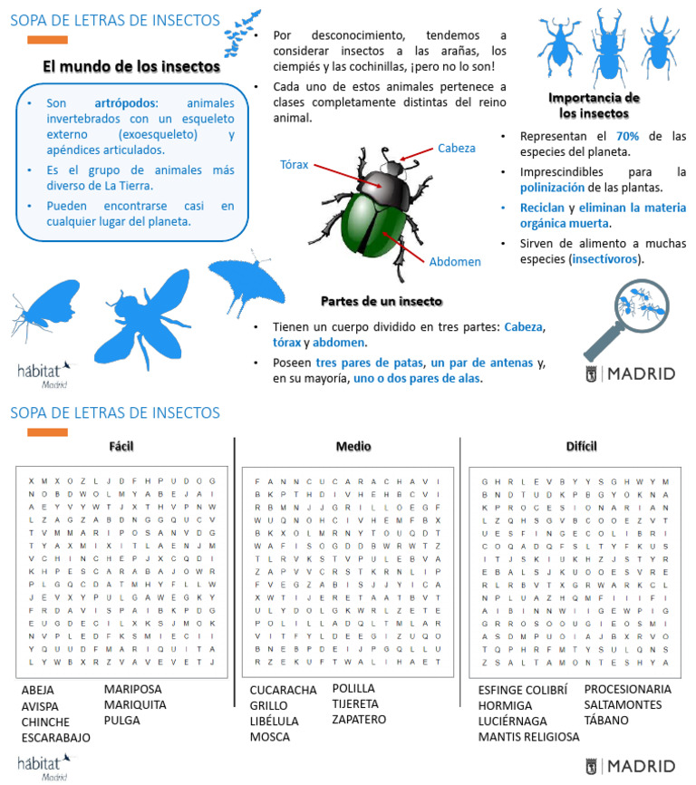 Sopa de Letras Insectos | PDF