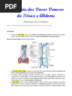 Anatomia do Sistema Venoso Ázigo | PDF | Veia | Coluna vertebral