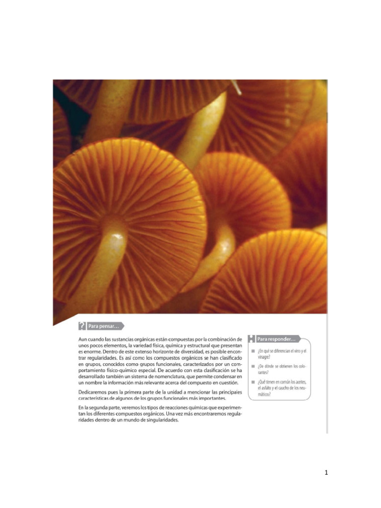 Clasificación Nomenclatura Química Undécimo | PDF