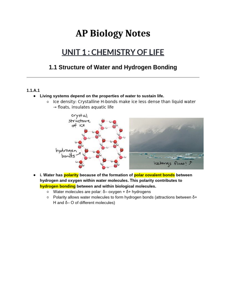 Unit 1: Chemistry of Life - AP Biology (2025-2026) | PDF | Nucleotides ...
