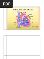 Heart Anatomy & Circulation Guide | PDF | Heart | Atrium (Heart)
