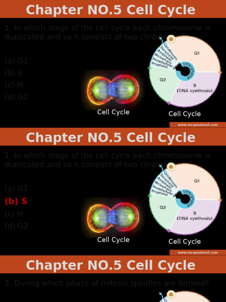KPPSC Past Papers Chapter NO.5 Cell Cycle | PDF | Mitosis | Meiosis