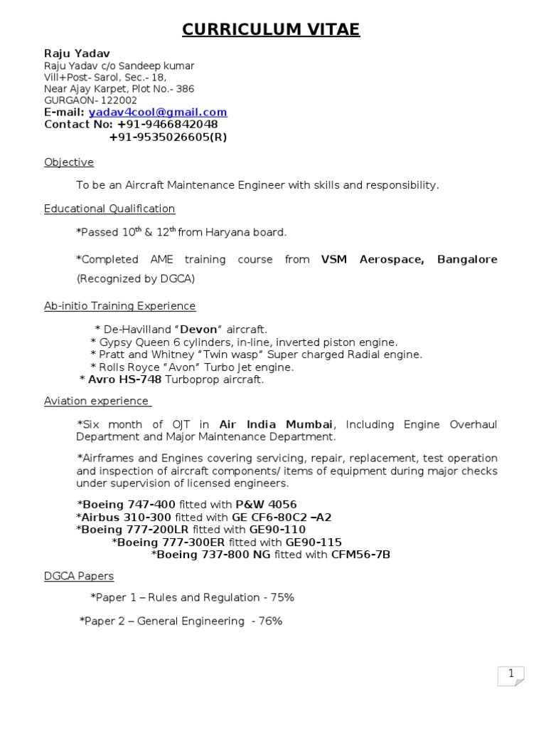 Raju CV | PDF | Business