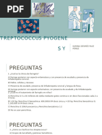 Diagnóstico y Tratamiento de Streptococcus pyogenes | PDF | Penicilina ...