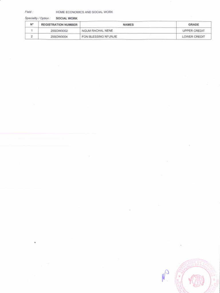 Social Work | PDF