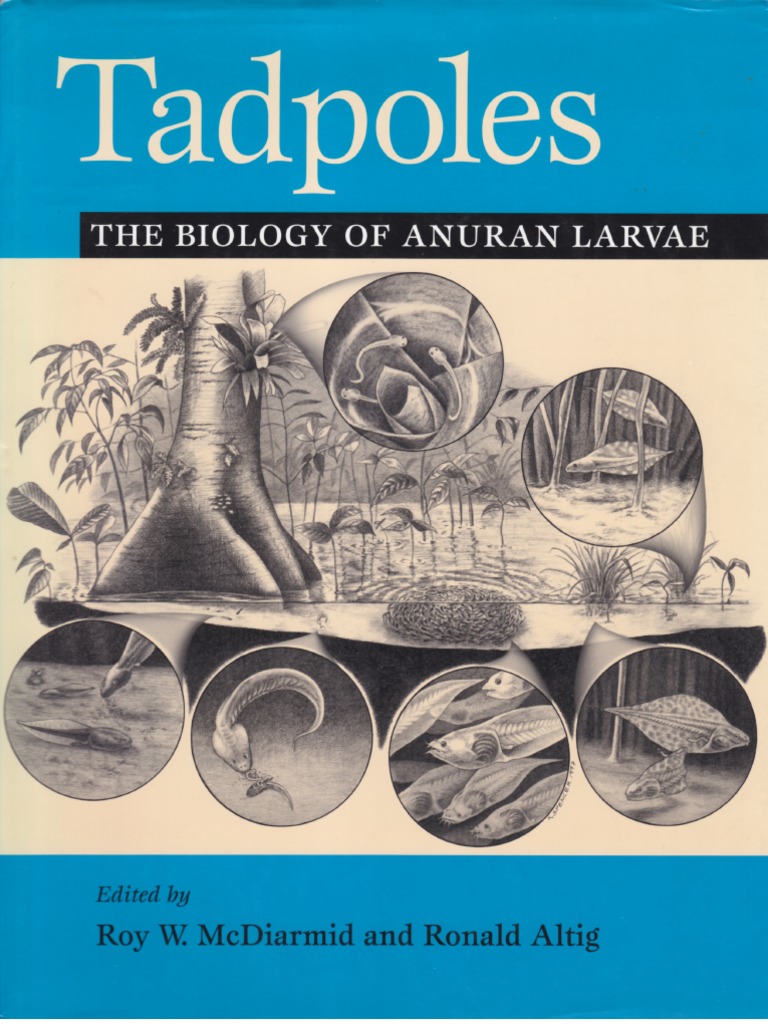 McDiarmid & Tadpoles | PDF | Anatomical Terms Of Location | Mouth
