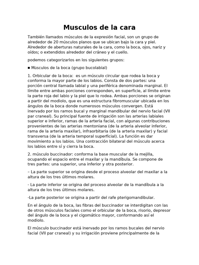 Músculos de la cara y su función | PDF | Nariz humana | Anatomía humana