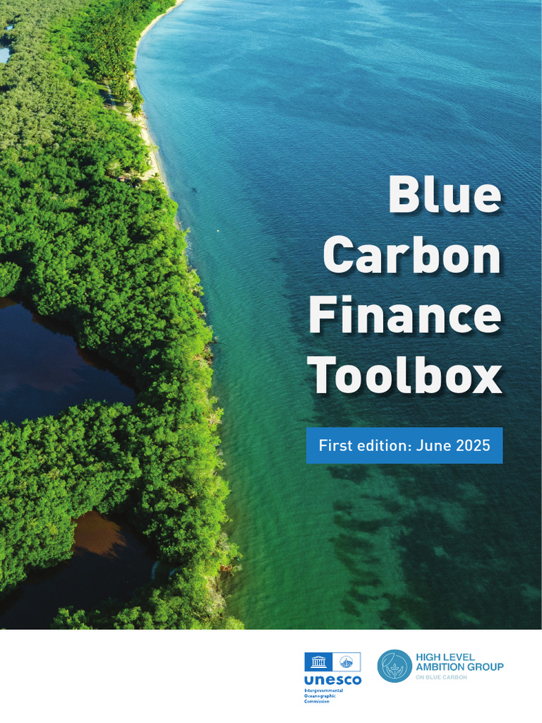 Blue Carbon Finance Toolbox | PDF | Mangrove | Climate Change Mitigation