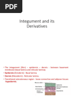 Animal Body Coverings Explained | PDF | Feather | Skin