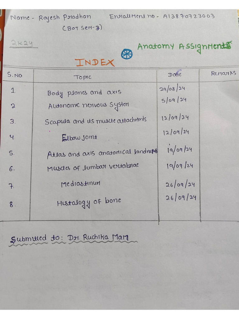 Anatomy Assignments 1 | PDF