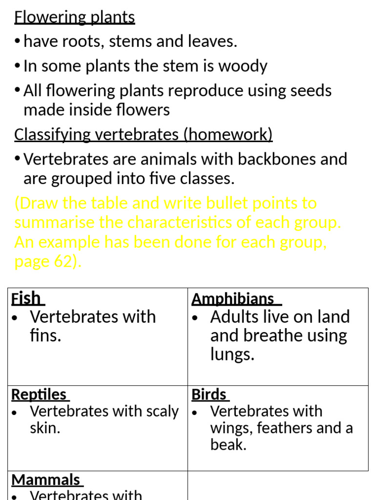 Classification of Plants and Animals | PDF