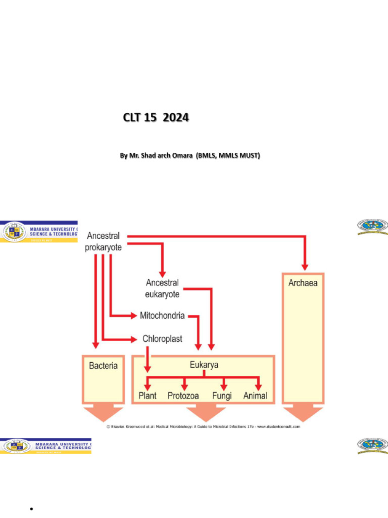 STRUCTURE of bacteria CLT 15 2024 | PDF | Bacteria | Cell (Biology)