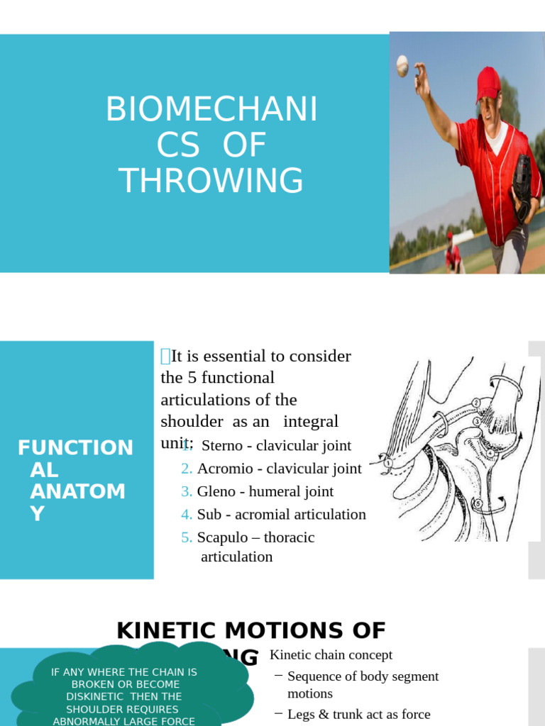 Biomechanics of Throwing Mechanics | PDF | Anatomical Terms Of Motion ...