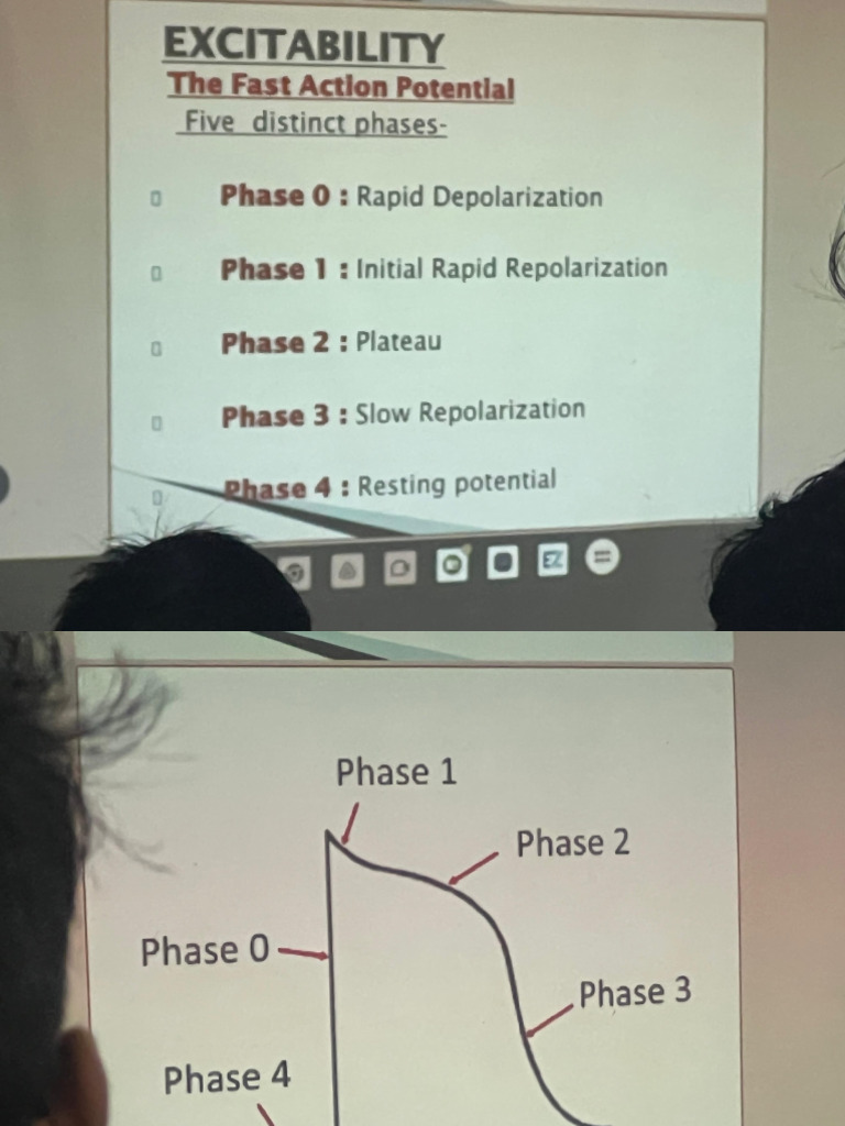 Cardiovascular System 3rd Class | PDF