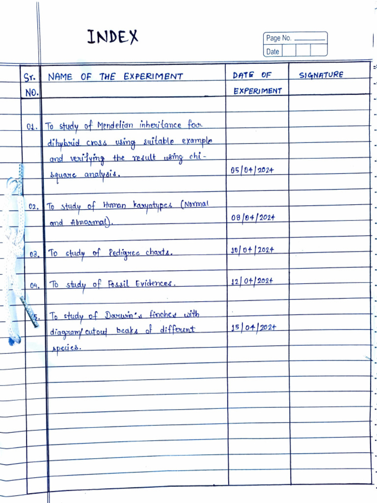 Bzycl 138 (DPG) | PDF