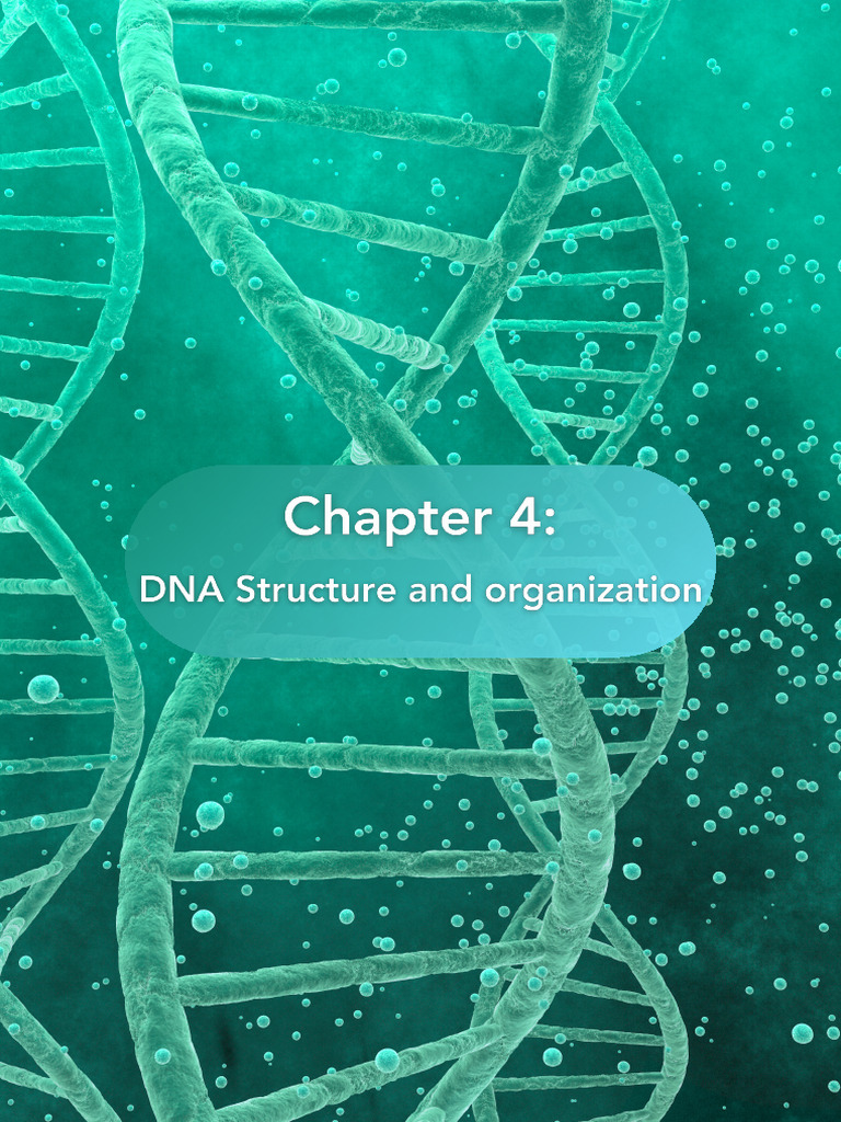 Understanding Photograph 51 and DNA Structure | PDF | Dna | Nucleic Acids