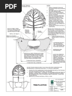 V4 Trees Issue 2 Operatives Handout | PDF | Trees | Root