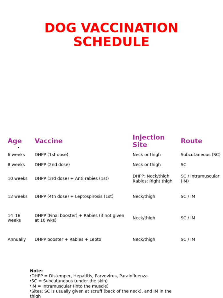 Dog Vaccination Schedule | PDF | Rabies | Vaccines