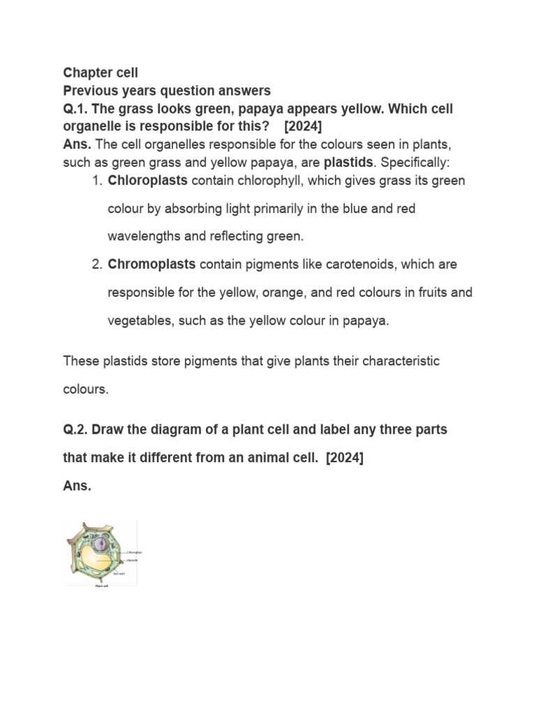 Key Cell Concepts for Class 9 Biology | PDF | Cell (Biology) | Cell Nucleus