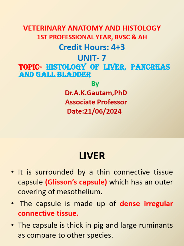Liver Histology and Lobule Structure | PDF | Liver | Epithelium