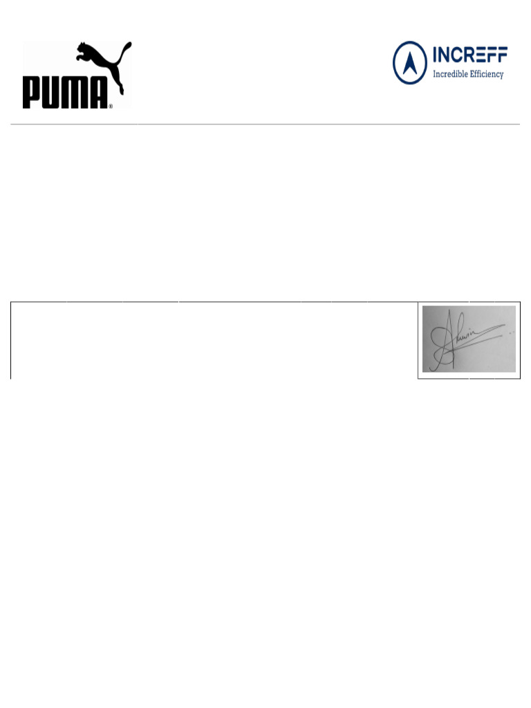 Invoice PUMA-608484 | PDF | Business Documents | Accounting