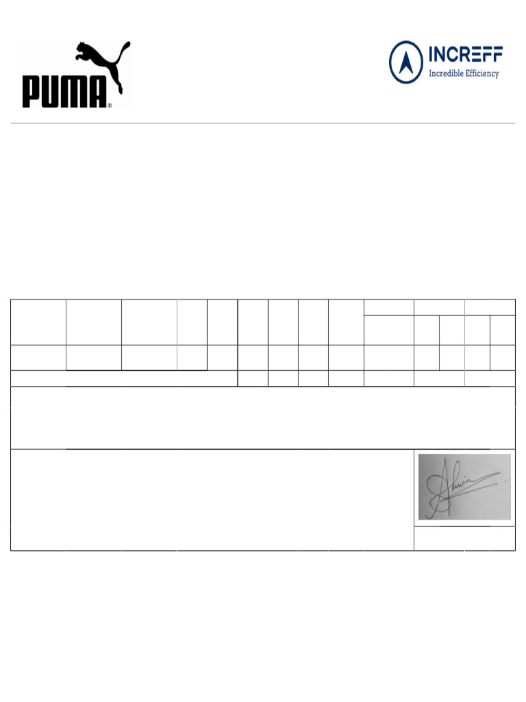 Puma Invoice for Order 4974447 | PDF | Sales | Public Finance