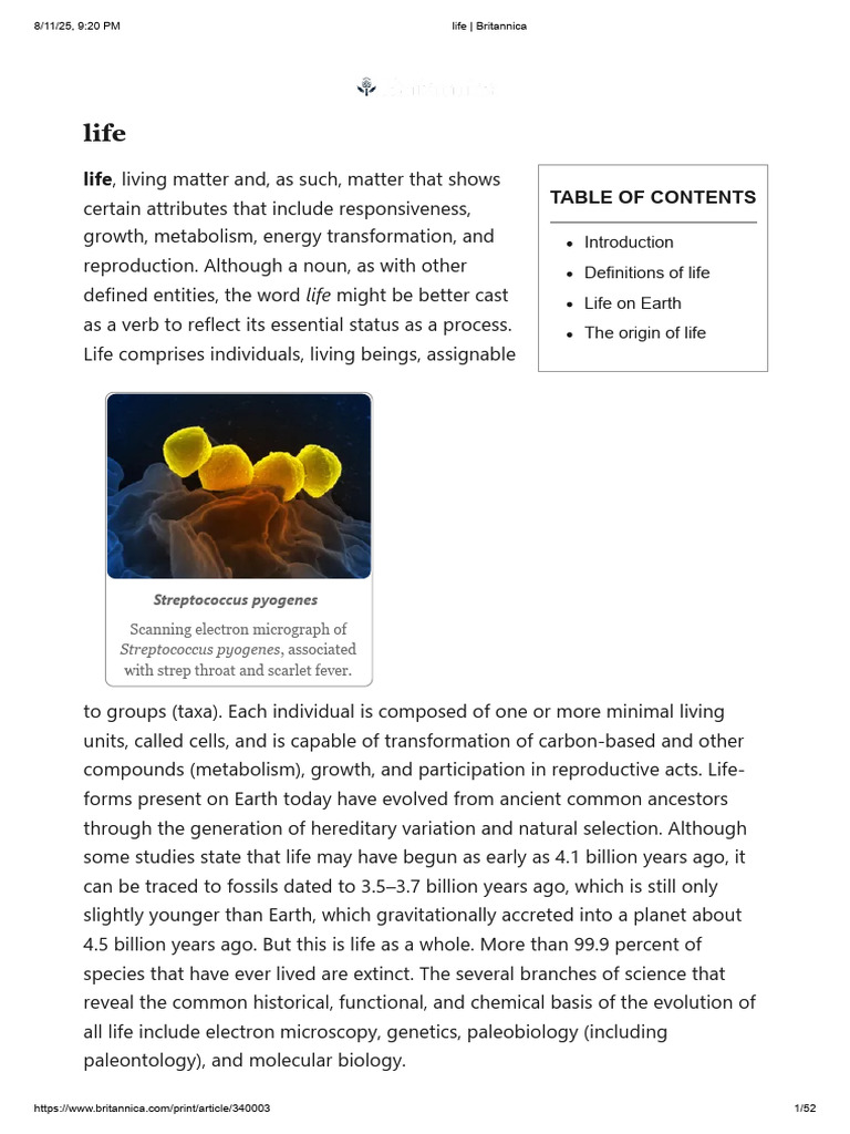 Origin of Life | PDF | Dna | Rna