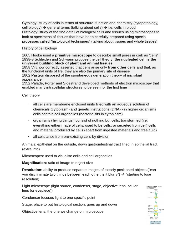 Energetics and Homeostasis Notes | PDF | Endoplasmic Reticulum | Epithelium
