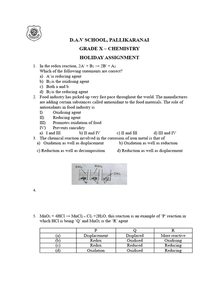 Chemistry Holiday Assignment | PDF | Redox | Salt (Chemistry)