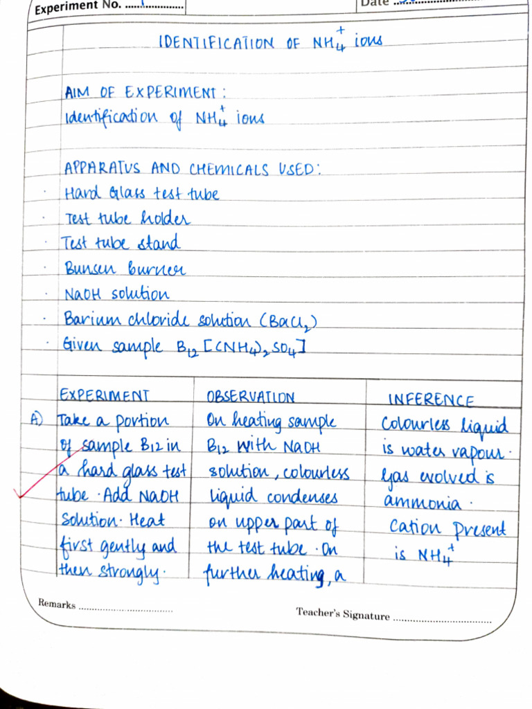 GR 10 Chemistry-Exp 7 | PDF