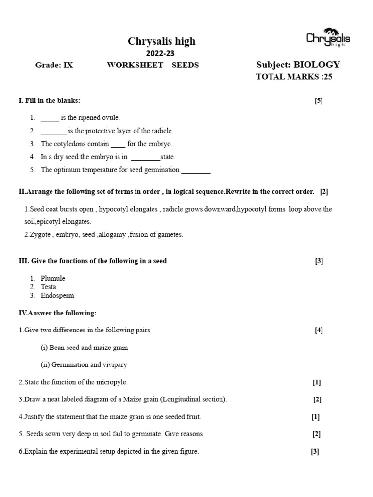 Grade IX Biology Seed Worksheet | PDF