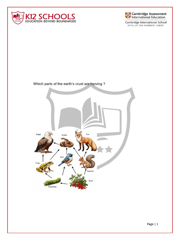 Grade 6 Science Revision Questions | PDF