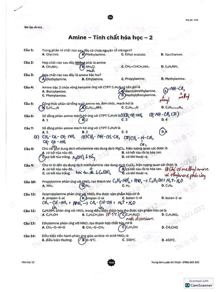 Amine TCHH 2 | PDF