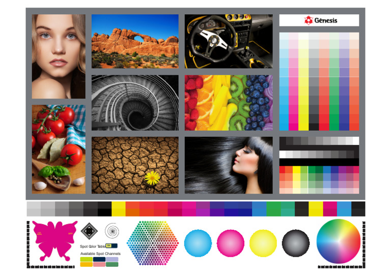Teste Cores | PDF
