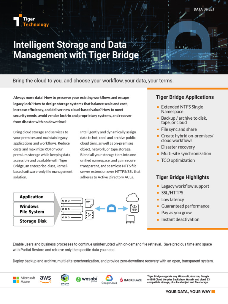 Tiger Bridge Data Sheet | PDF | Computer File | Cloud Computing